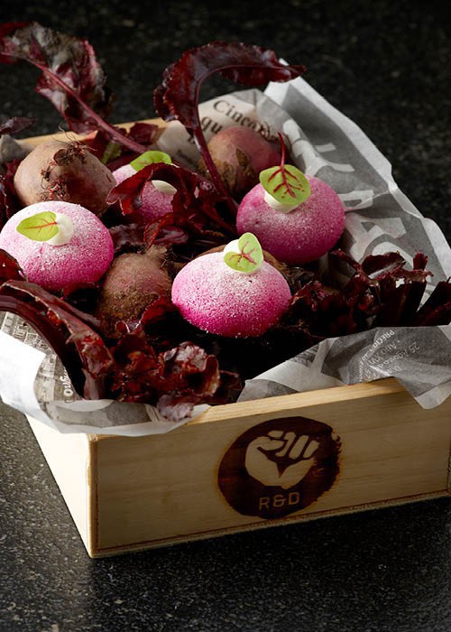 Inspiratie - R&D Food Revolution