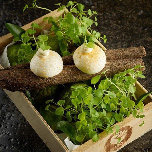 Inspiratie - R&D Food Revolution